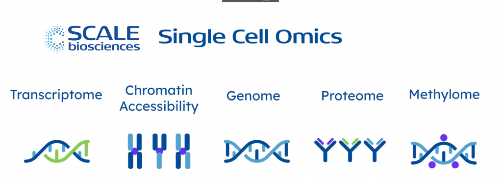 Scale Bioscience – High Throughput Single-Cell RNA and Methylation ...